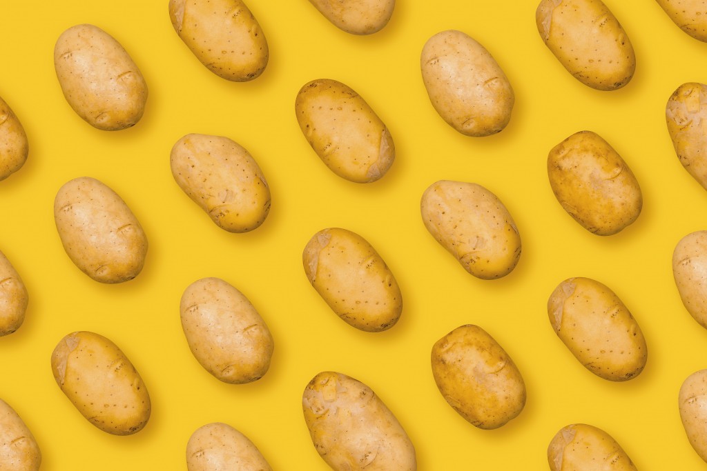 Potato on a colored background · Free Stock Photos